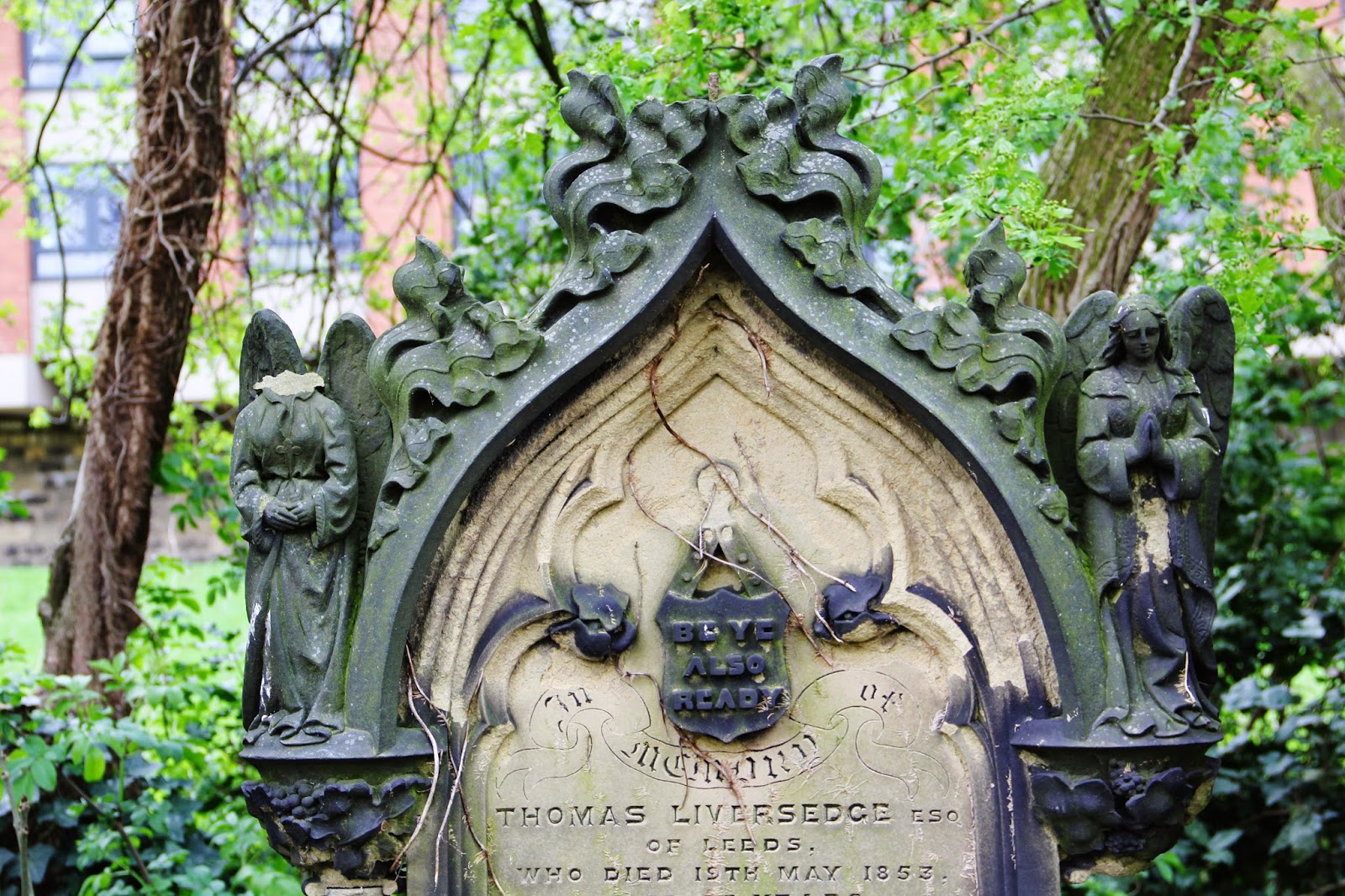 st. george's fields, pt. 2 | summer violets