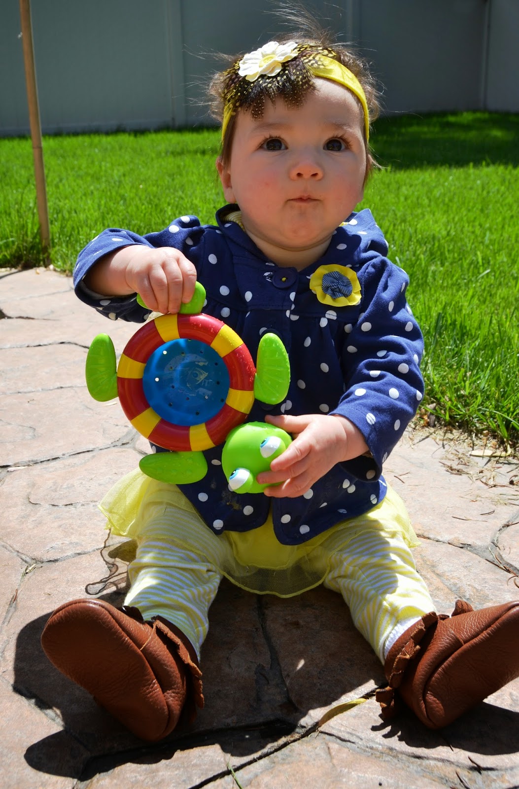 Loads of Fun with Nuby Toys | The Nutritionist Reviews