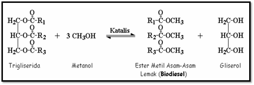 Transesterifikasi Biodiesel | Afavrs van Disyor