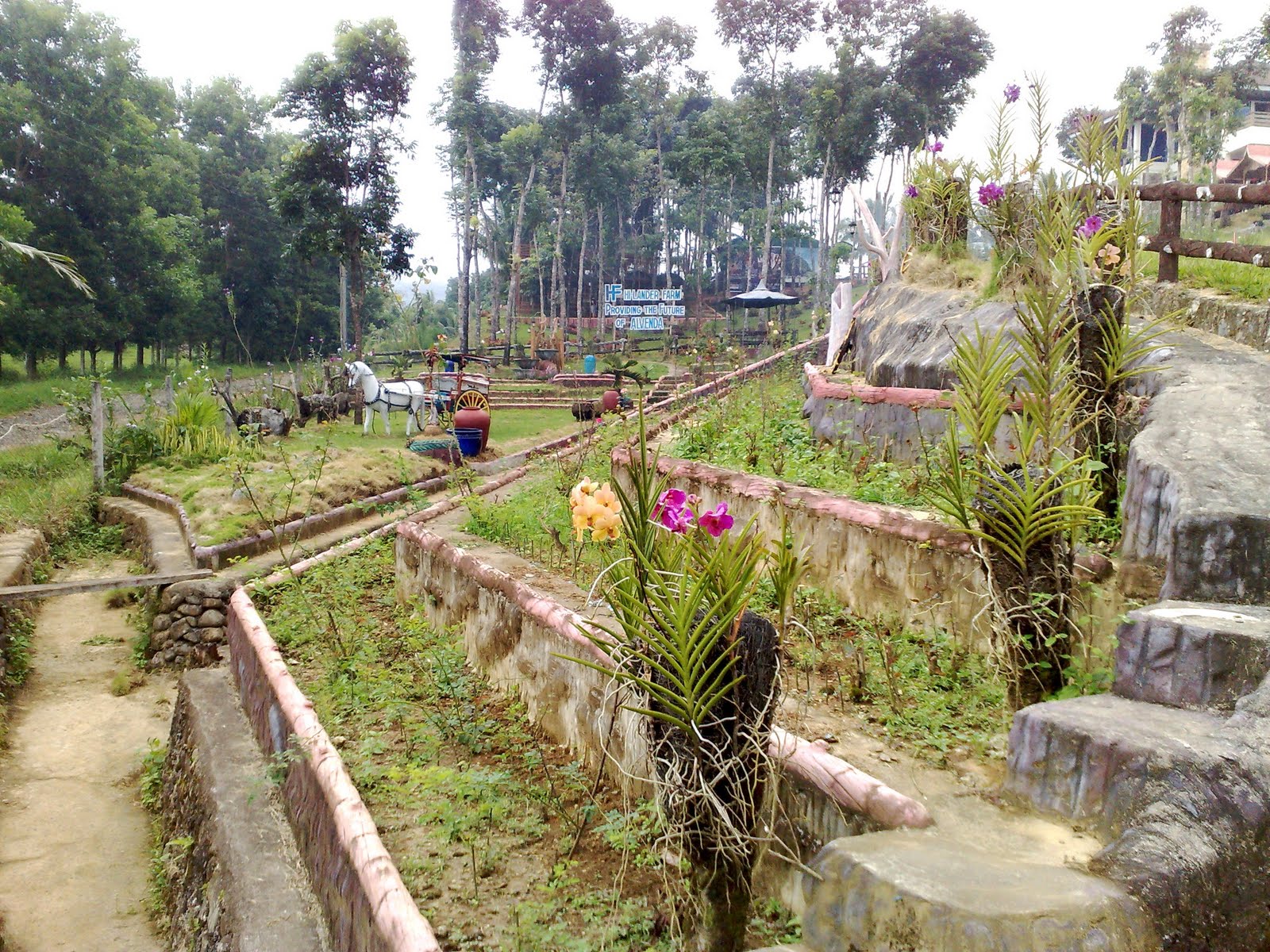 Byahe Tayo!: Highlander Farm, Brgy. Alvenda, Mutia, Dipolog City