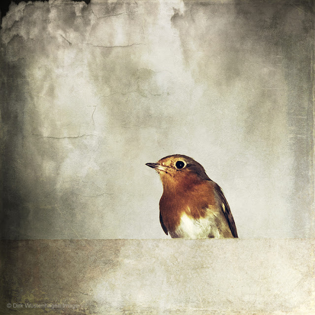 Lost Robin & Big Texture Pack - update