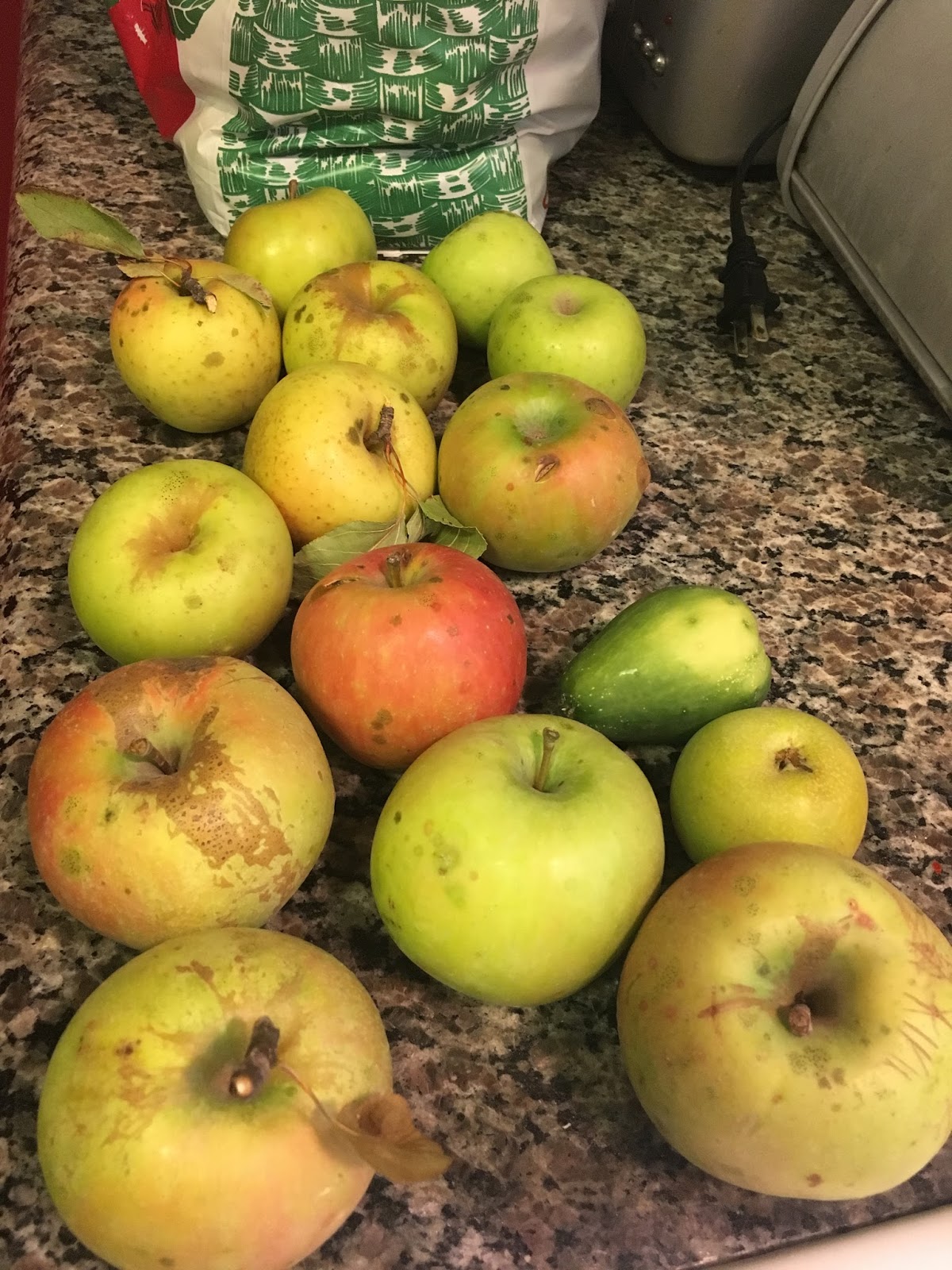 This Kansas City Mama: All Those Apples