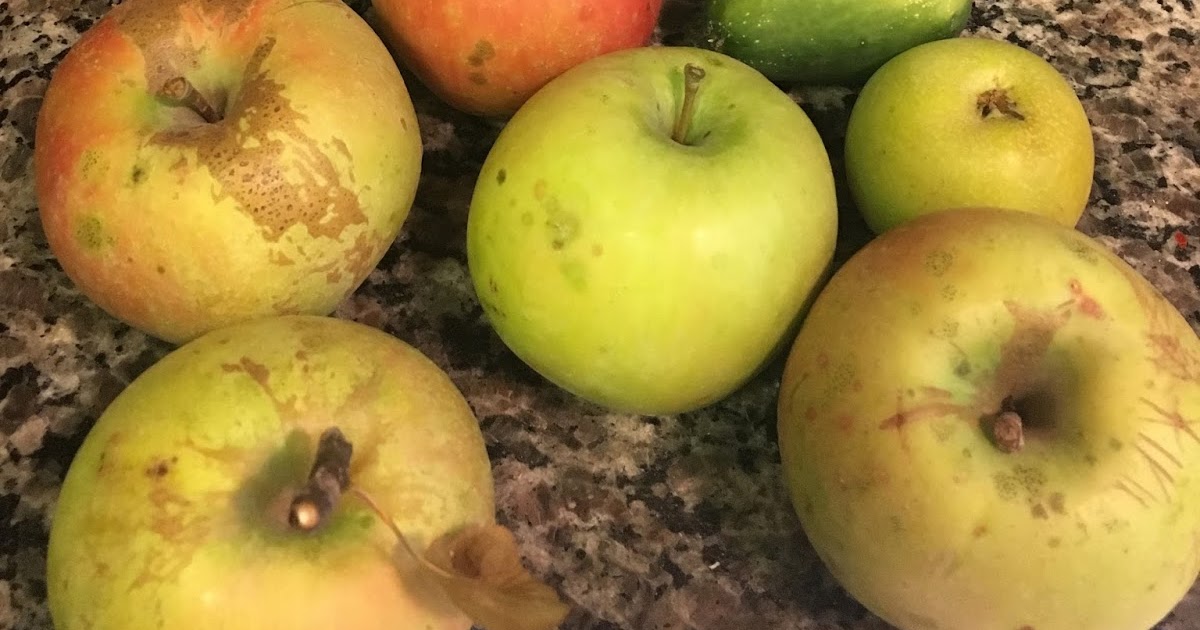 This Kansas City Mama: All Those Apples