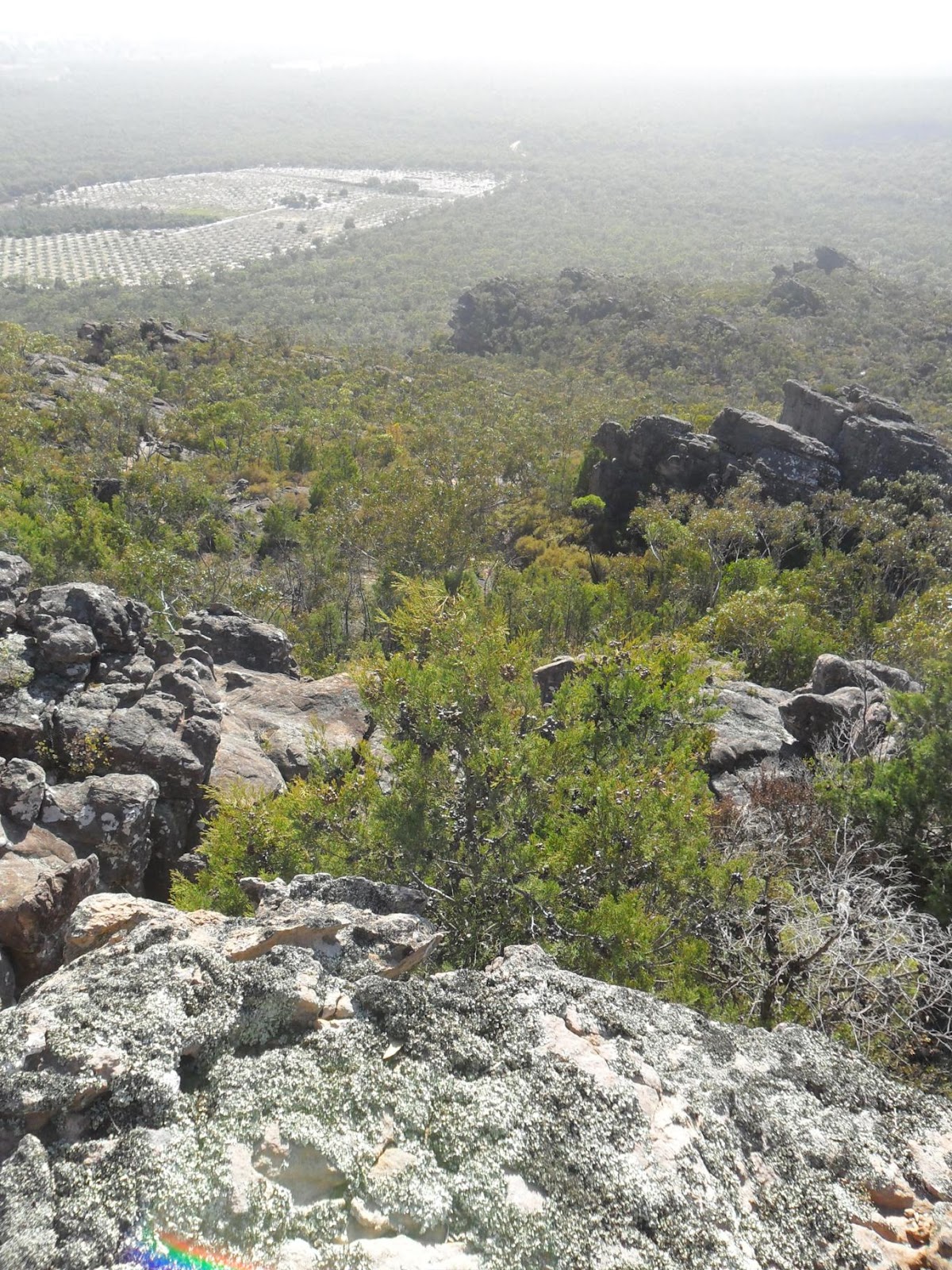 Stay here - Feel far: The Grampians National Park: Mount Zero