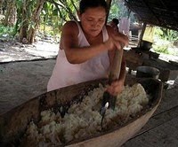 Gastronomía Peruana: Masato de Yuca