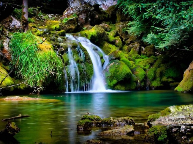 La Naturaleza: LA NATURALEZA