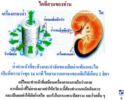 healthproduct: Bio Pure Ken Series