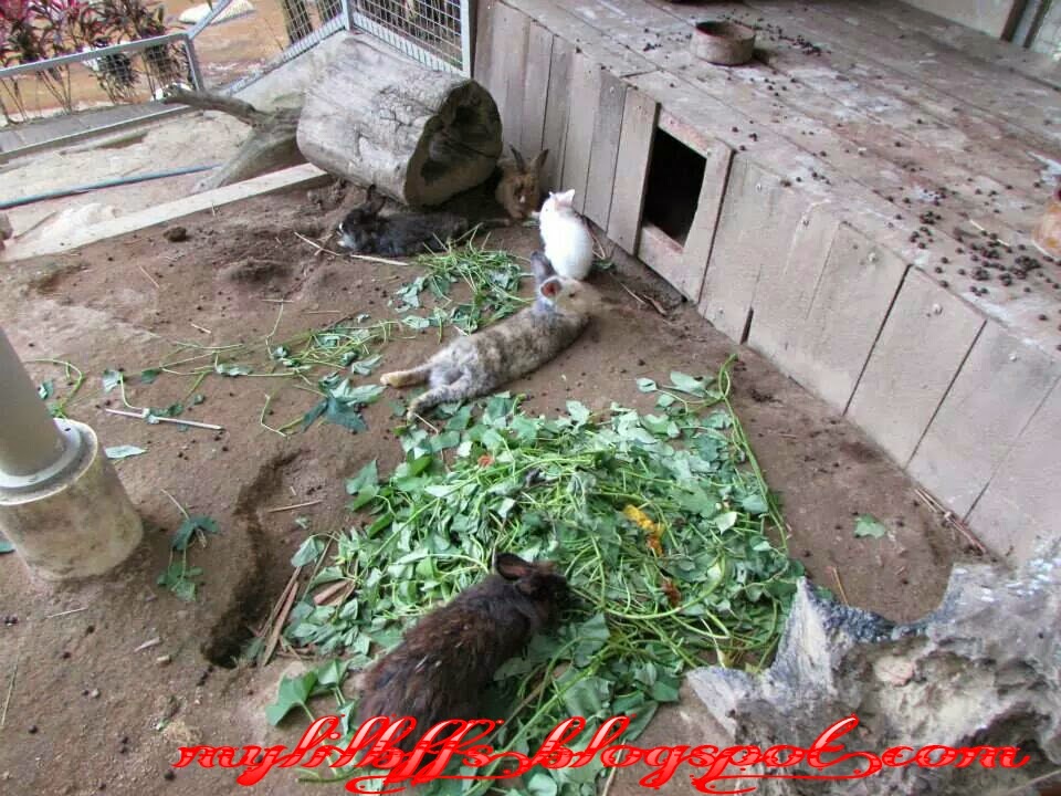 Beauty.Food.Fun.my: Laman Persona @ Cheroh, Raub