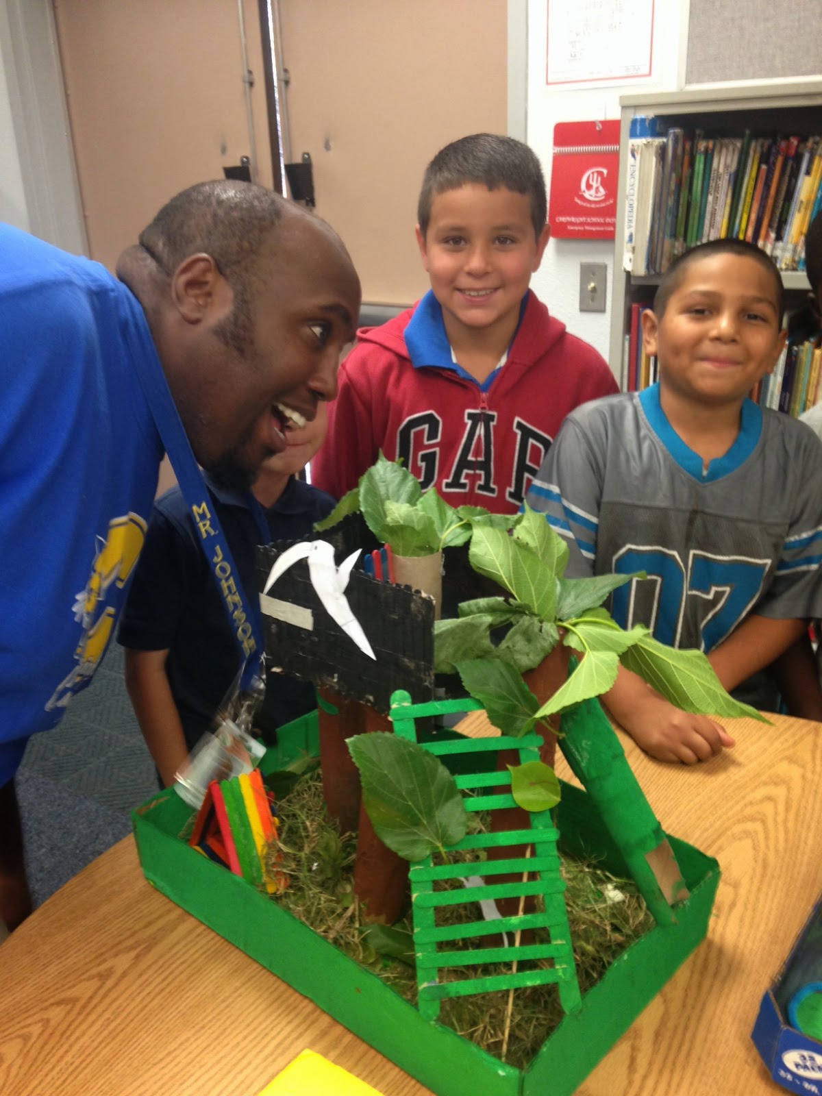 Third Grade with Room Nine: Welcome to the Rainforest