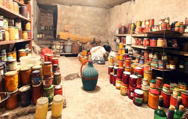 Survival Guides: Ancient Survival Techniques From Our Ancestors