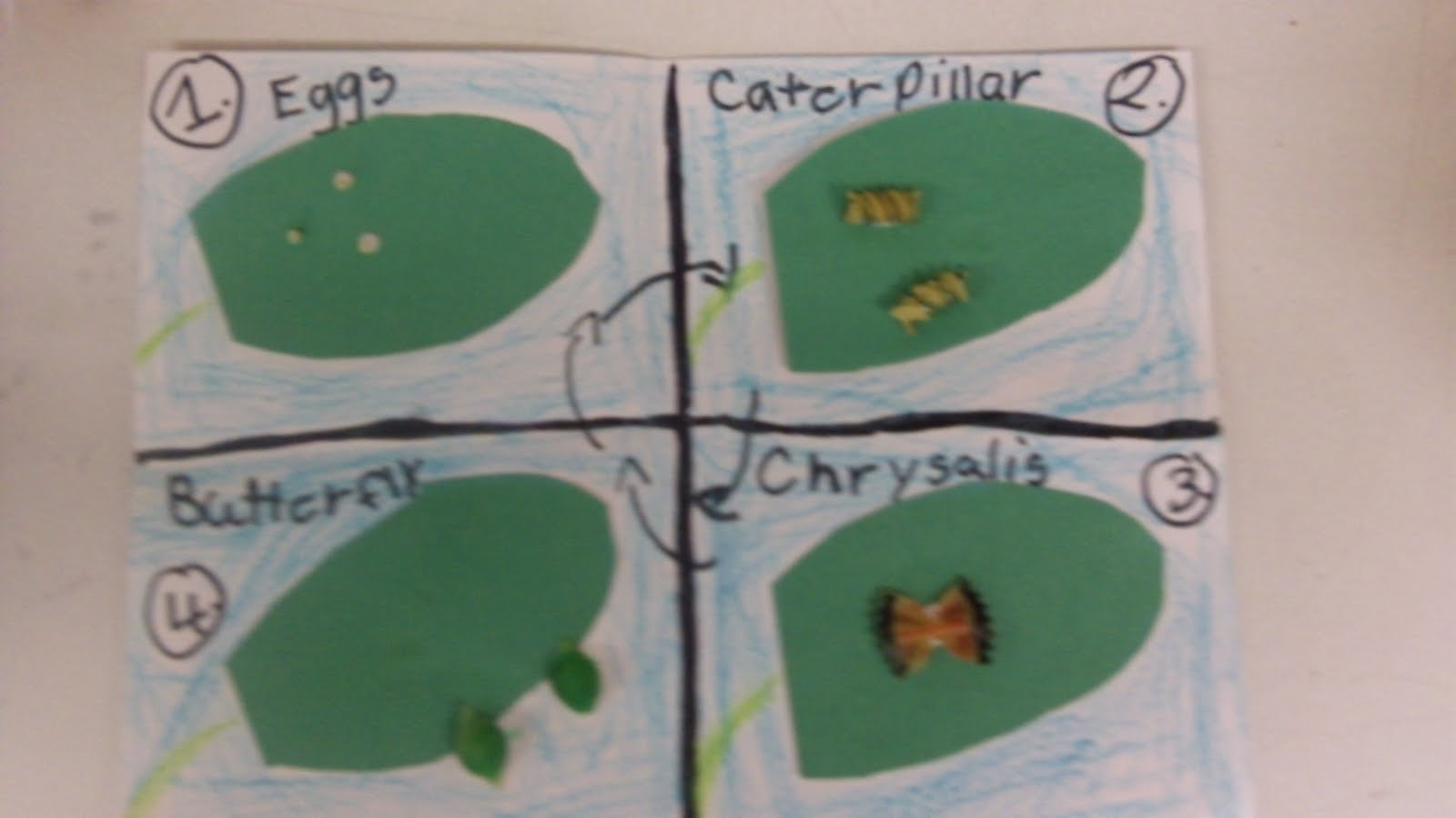 Hagen's Allstars: How Does A Butterfly Grow?