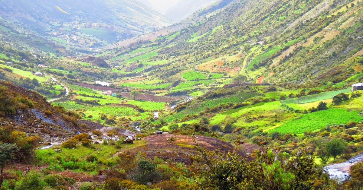 Visita a Páramo de Mérida 2014