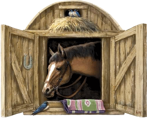 Konie jak marzenie: Konie gify