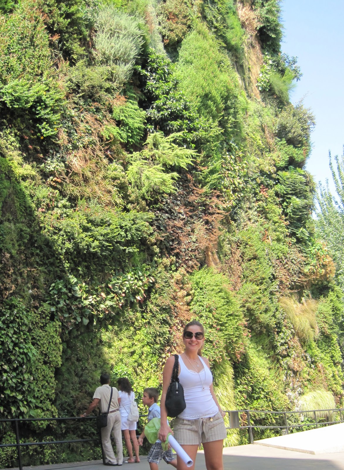 Studio Casa Mix: PAREDES VERDES, ECOPAREDES E JARDINS VERTICAIS!!