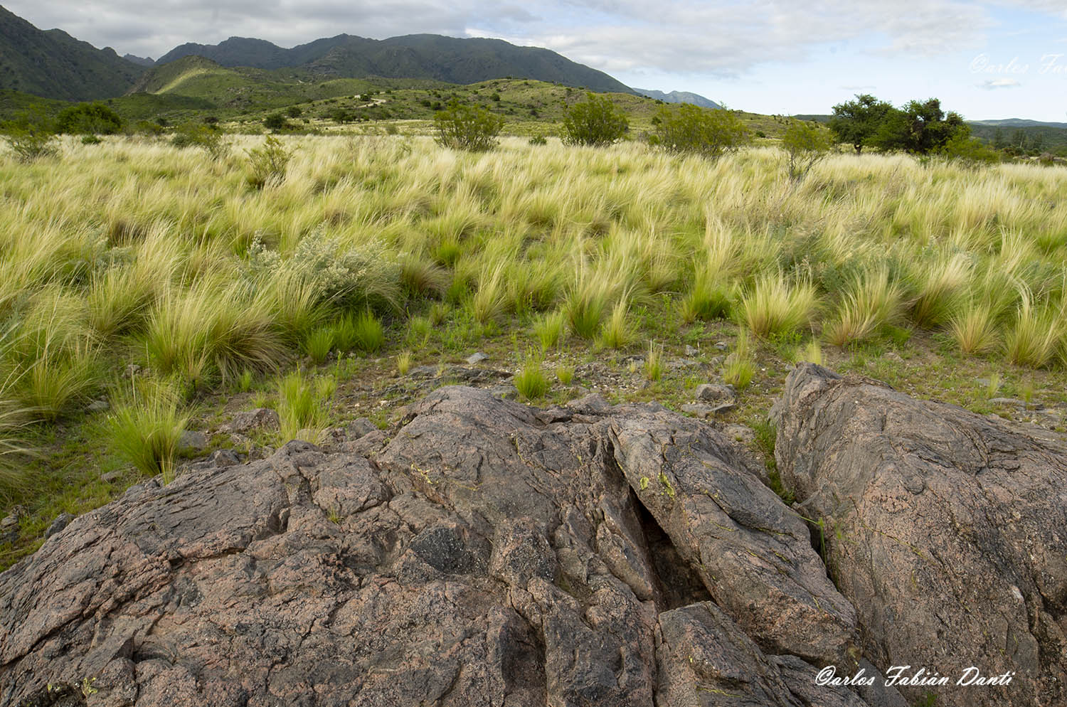 Naturaleza en San Francisco del Monte de Oro: PAISAJE SERRANO