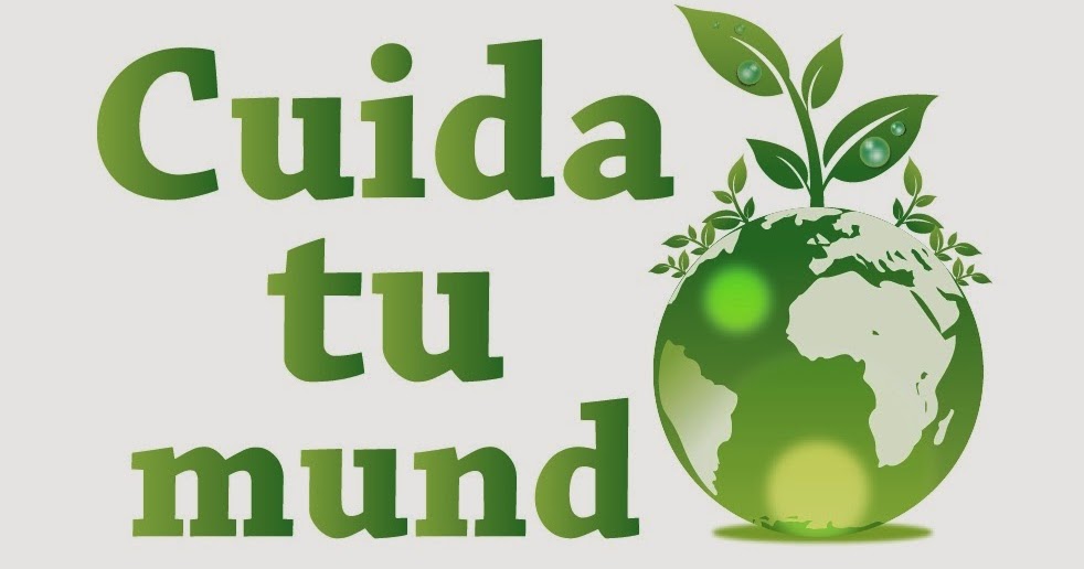 TIPS PARA CUIDAR EL MEDIO AMBIENTE DESDE TU OFICINA | CIENCIA, SALUD Y ...