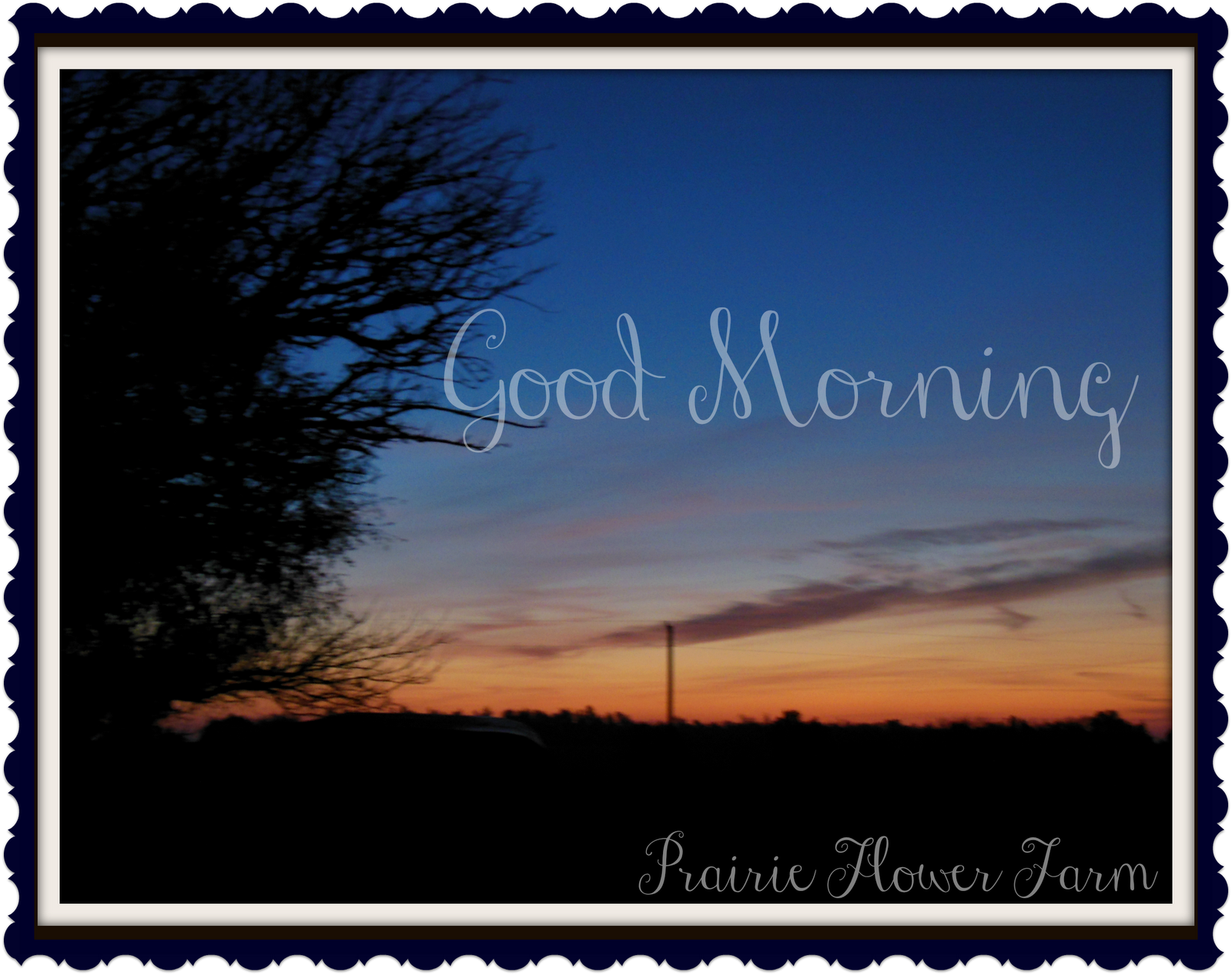 Prairie Flower Farm: Good Morning from the FARM!