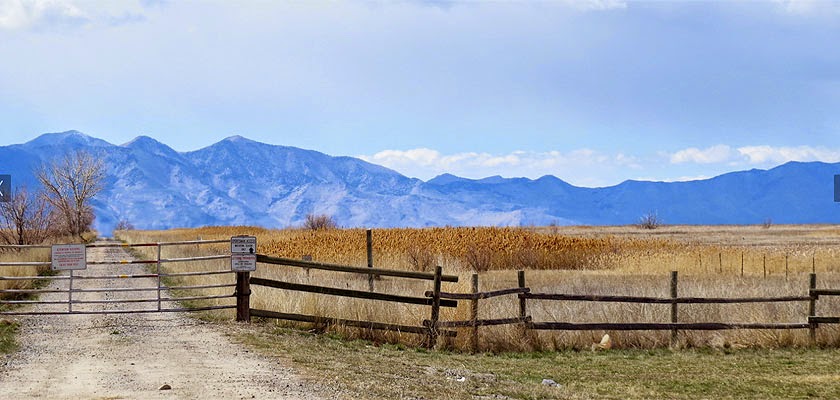 Utah Birding Spots: Harold Crane WMA -- Rainbow Unit Trailhead