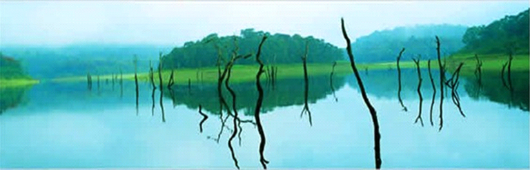 Periyar