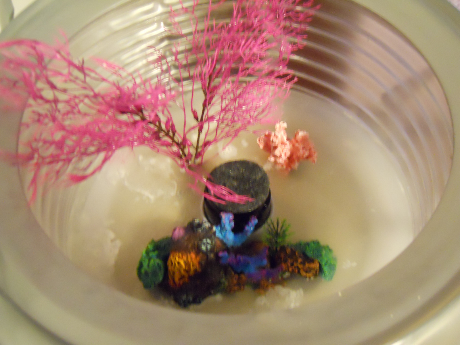 BioBubble, The Worlds most versitile Animal habitat.