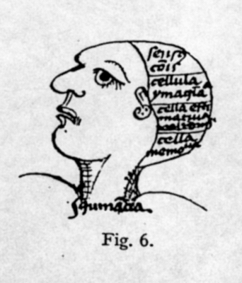 bensozia: Medieval and Renaissance Brains