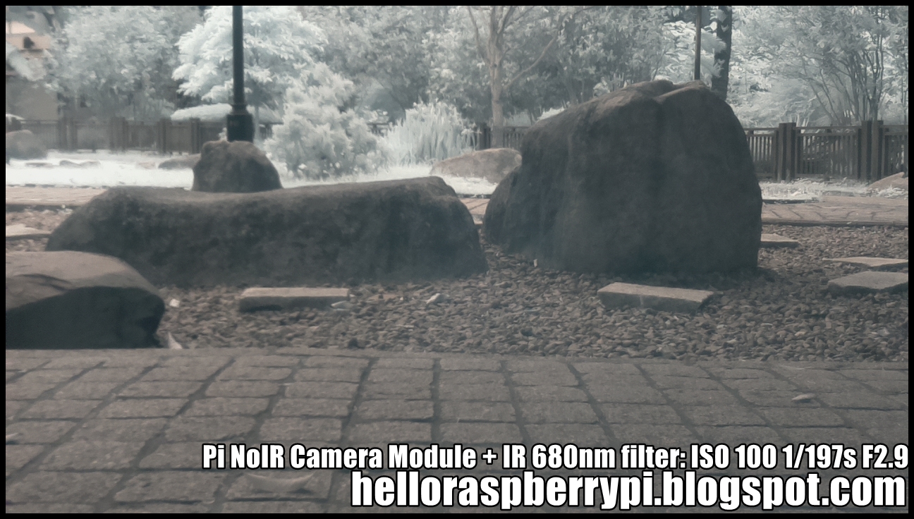Hello Raspberry Pi: Test Pi NoIR Camera Module with Infrared filter ...
