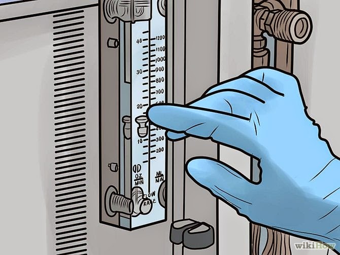 Funerária Recanto Verde: Como Embalsamar