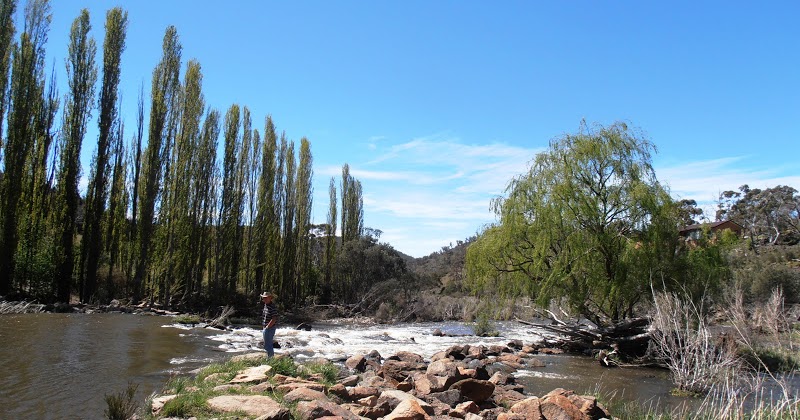 The Clarke's Aussie Adventure: 21 October 2012 - Cooma Snowy Mountain ...