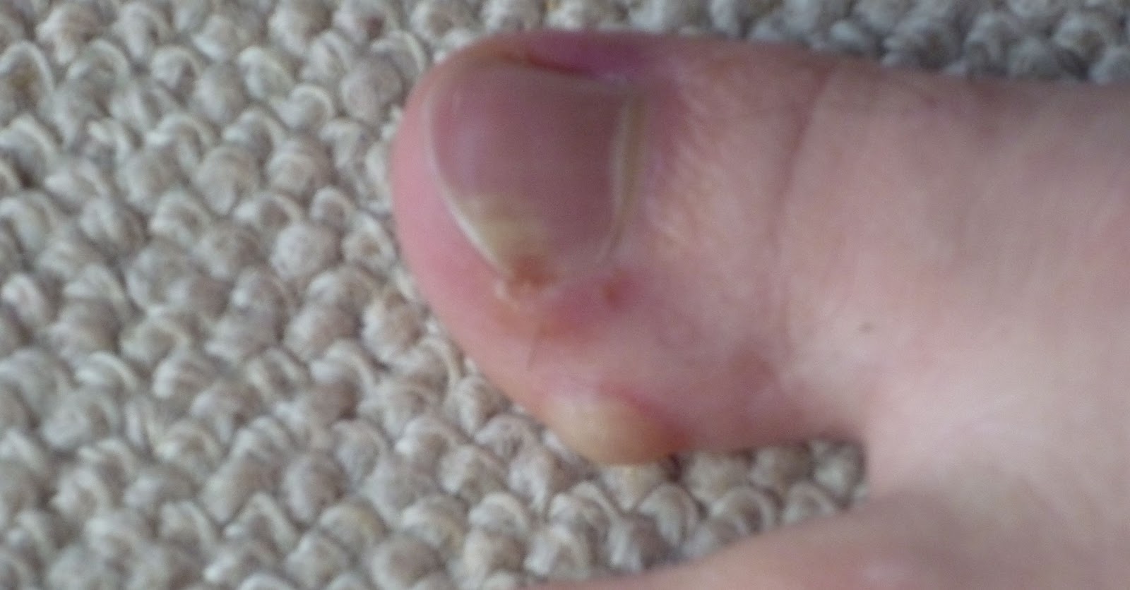 Ben's Running Blog: January 2012