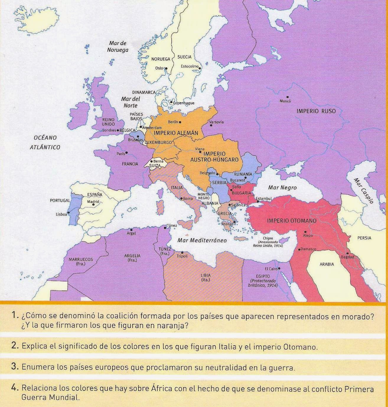T.6.- IGM: MAPAS DE APOYO