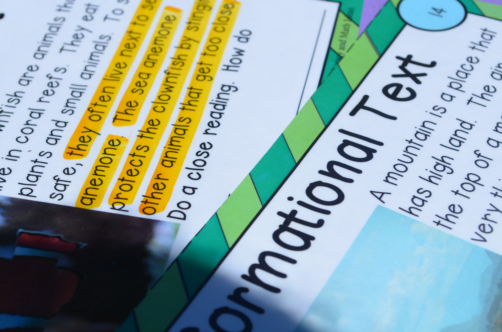 Literacy & Math Ideas: Integrating Art