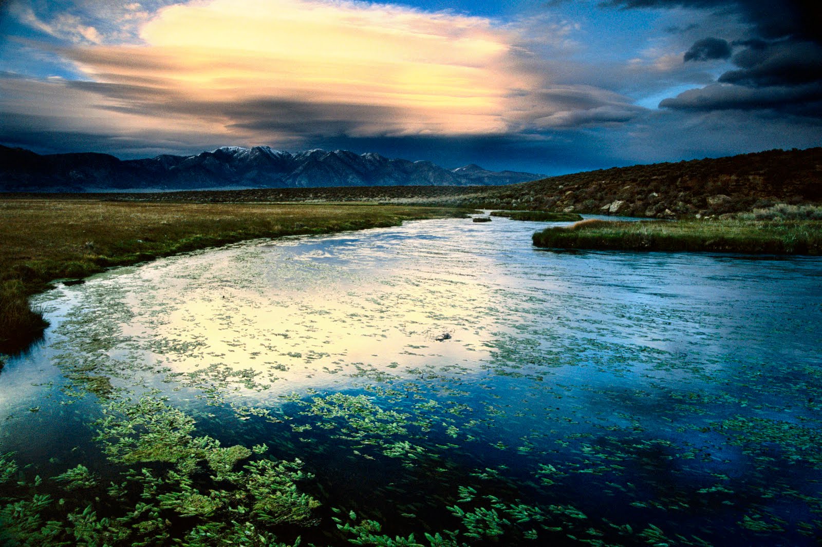 Beautiful Wallpaper On Zedge | New hd wallon