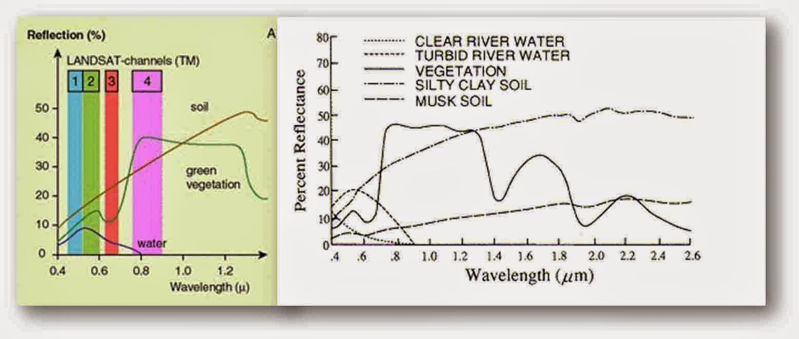 Remote Sensing: Spectral Signature และการสะท้อนช่วงคลื่นของสิ่งปกคลุมผิวโลก