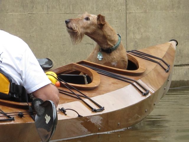 Julie Zickefoose on Blogspot: Zick Does the Muskingum!