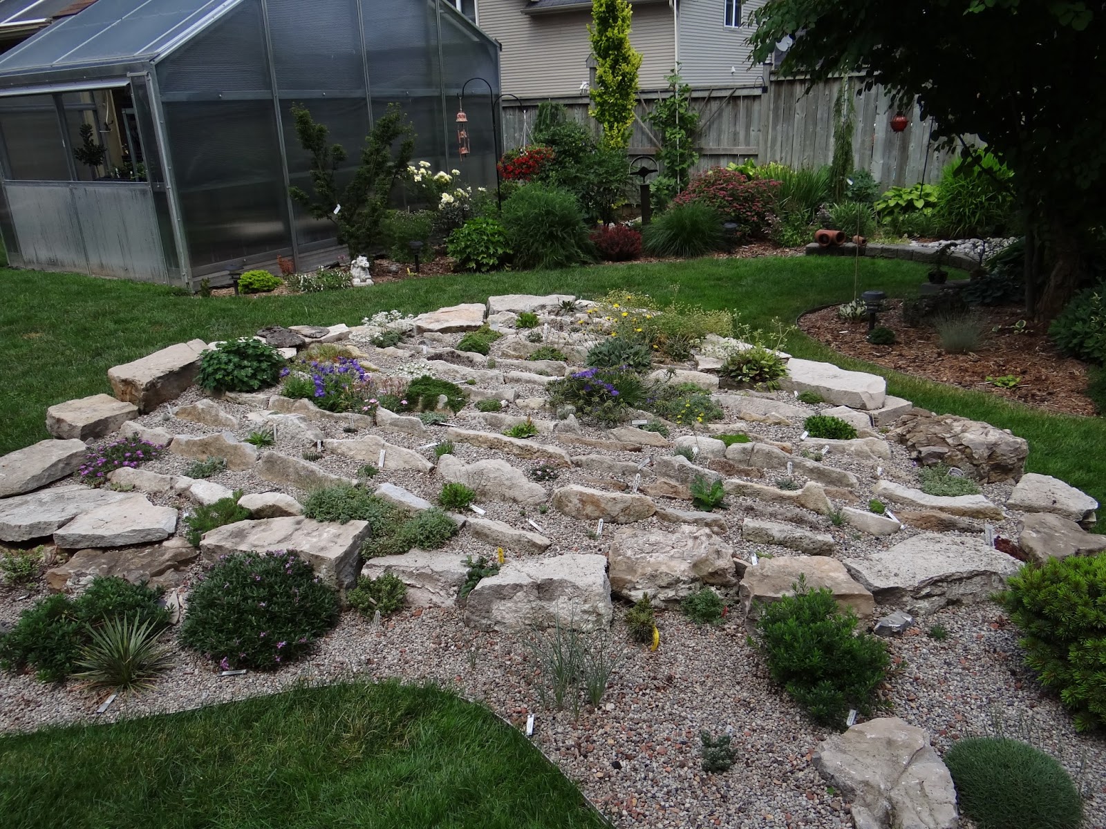 Caerulean Skies: June garden visit