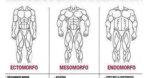 Musculo & Ação: Biotipo e suas características: Ectomorfo, Mesomorfo e ...