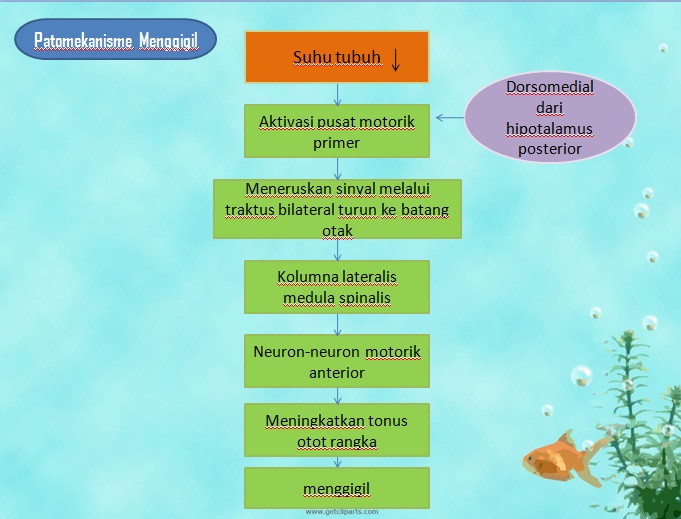 it's all about LEARNING