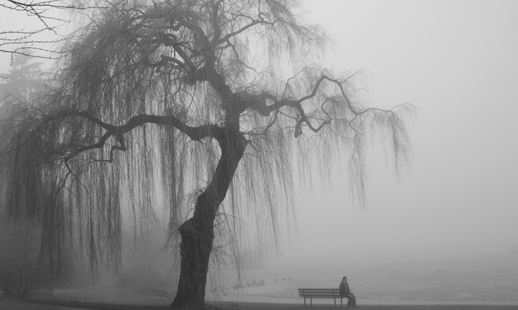 Símbolos, Mitos y Arquetipos: El color gris y su importancia simbólica