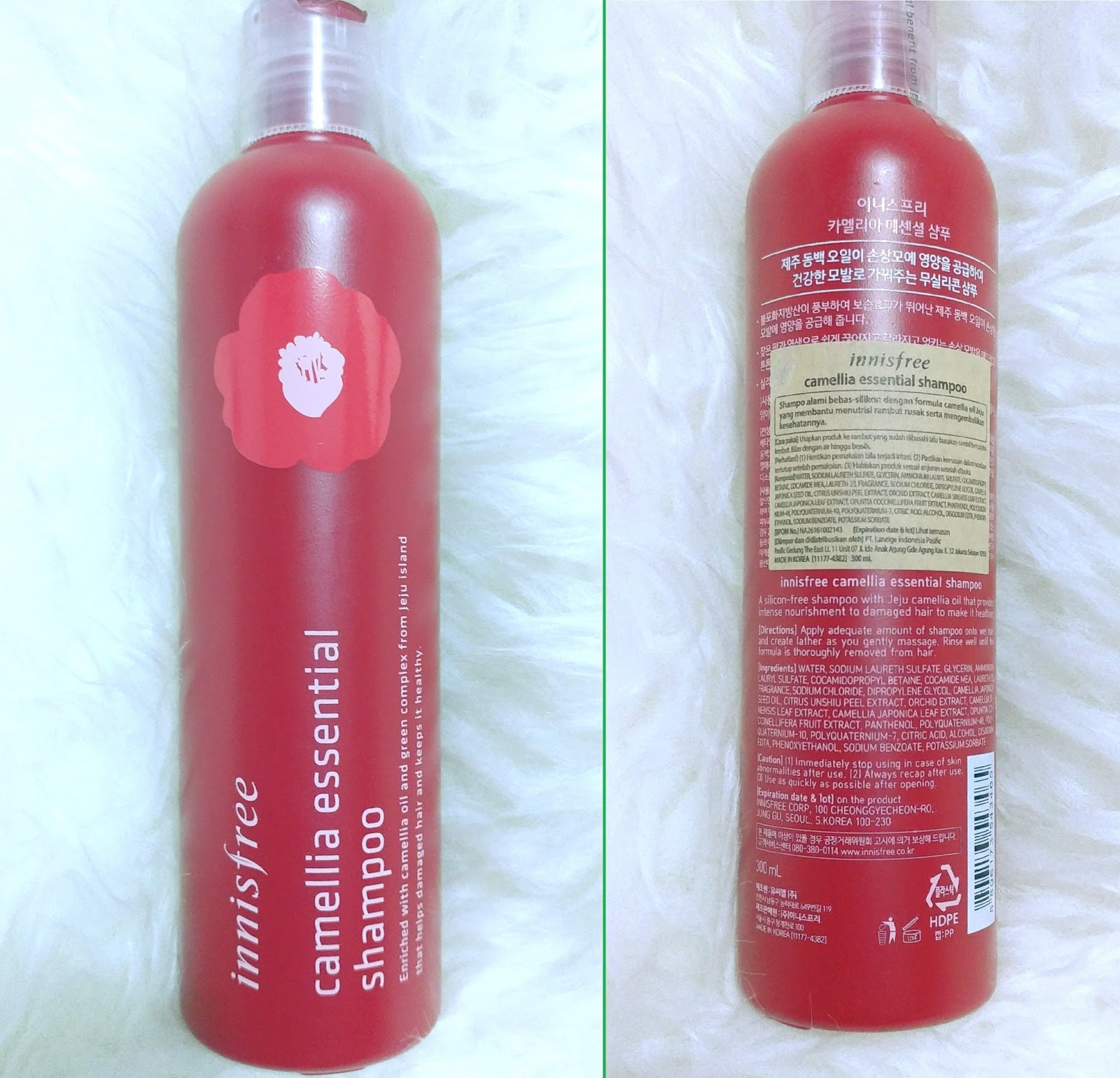 Innisfree Camellia Essential Shampoo - WateryScenery