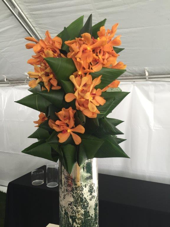 Kanawha Garden Club: The Amazing Art of Leaf Manipulation