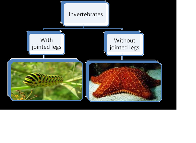 Knowledge is The Power to SUCCESS