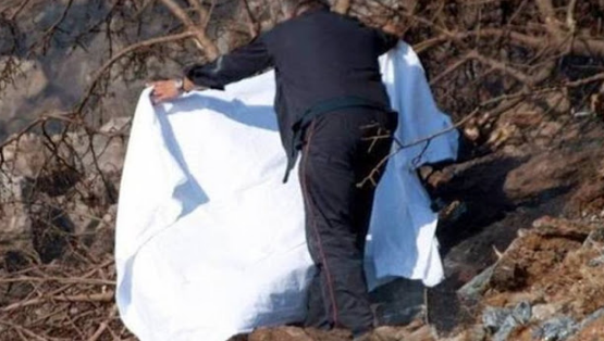 ΤΟ ΚΕΦΑΛΙ ΑΠΟΚΟΛΛΗΘΗΚΕ ΜΕ ΤΟΝ ΚΑΙΡΟ ΚΑΙ ΤΗ ΣΗΨΗ... ΘΡΙΛΕΡ ΜΕ ΤΟ ΑΚΕΦΑΛΟ ...