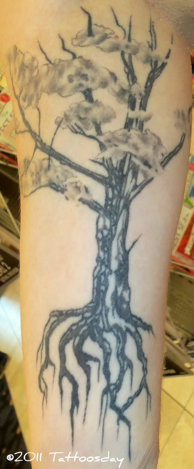 Roots Tattoo On Leg | Fresh Tattoo Ideas