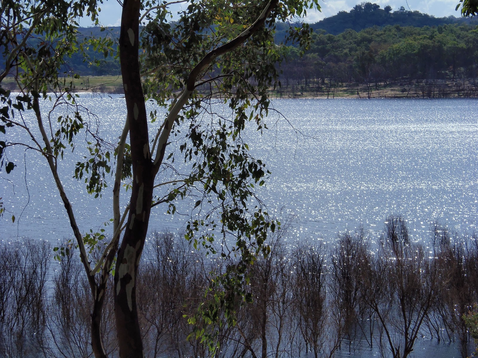 Solo Steve On The Road: COPETON DAM NORTHERN FORESHORE