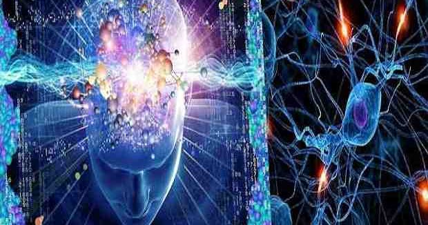 How does the brain behave during neuroprosthesis? - The Scientific ...