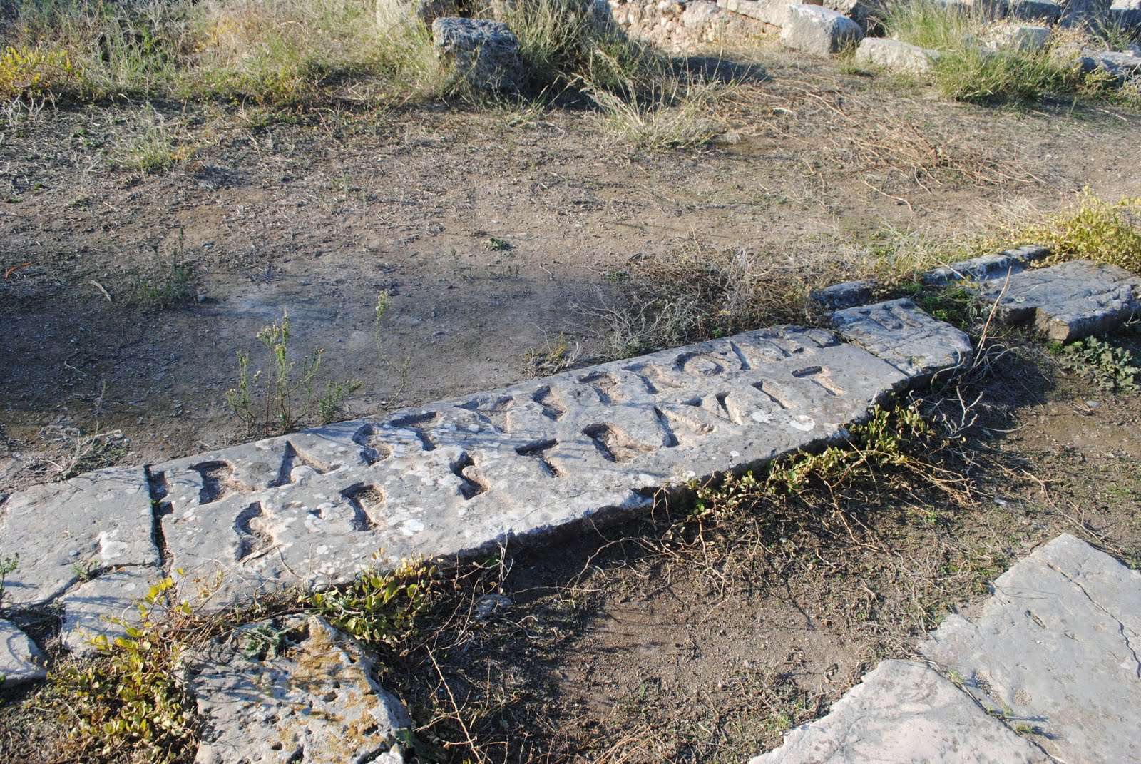 Pastoral Reflections: January 2012