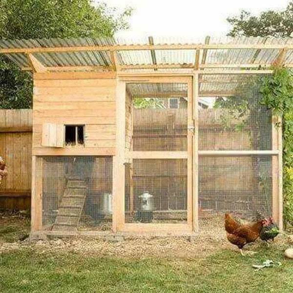 Ideias para Quem Quer Um Galinheiro Em Casa. - Flinki Artes