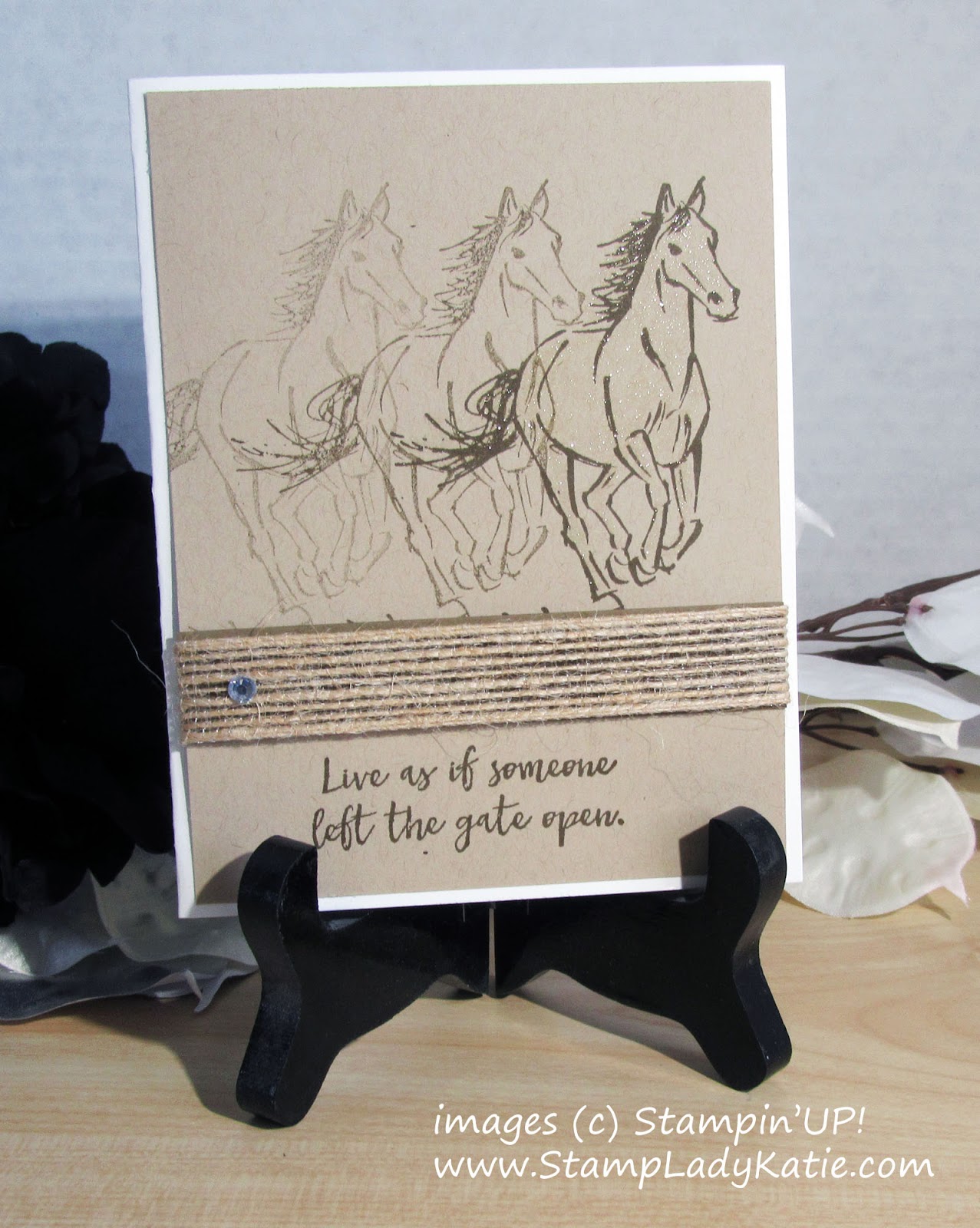 StampLadyKatie.com: Let it Ride in Motion