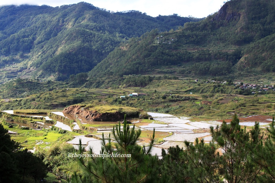 The Joys of Simple Life: Sagada via Banaue, part 2: First Glimpse of ...