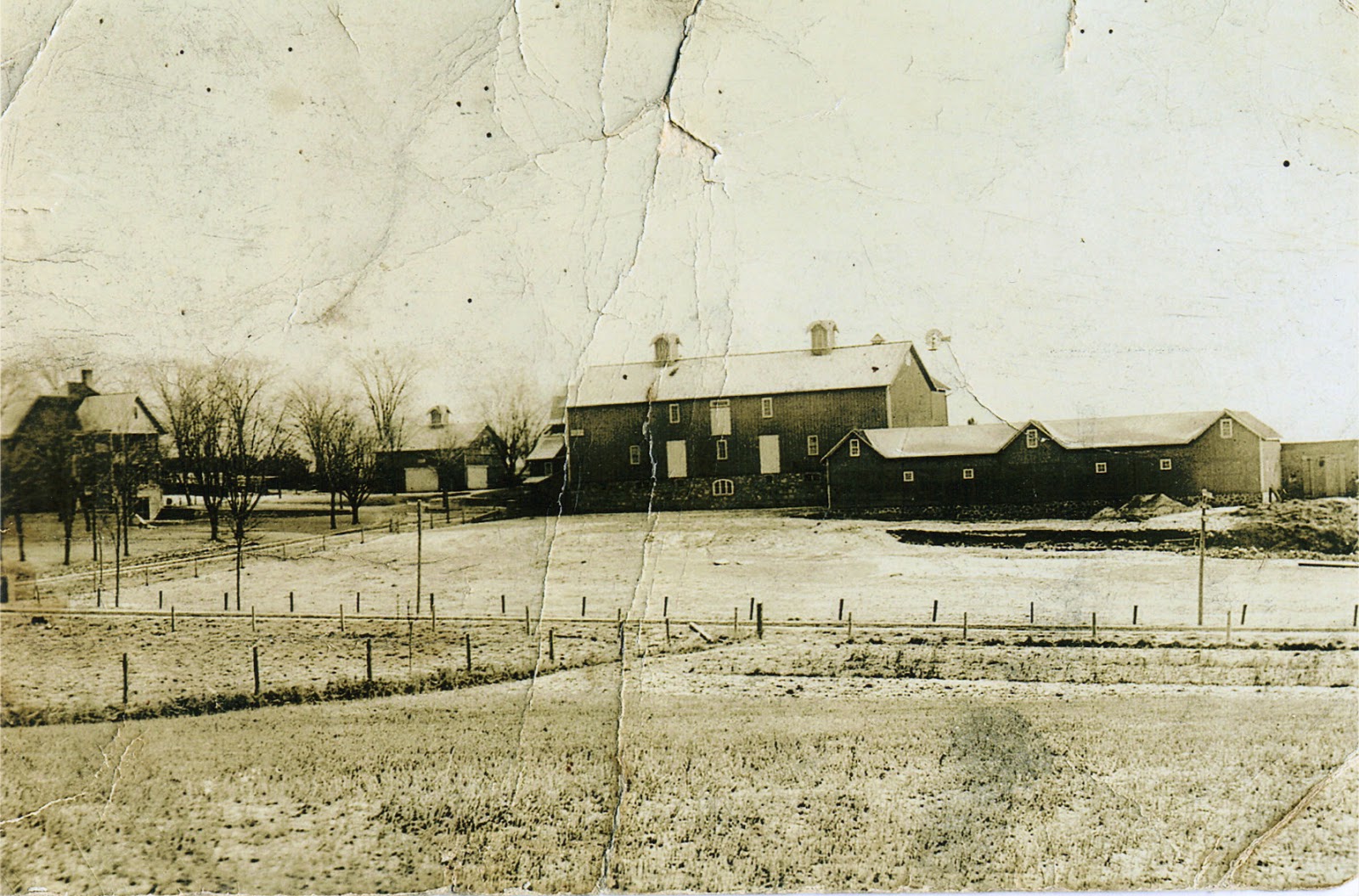 Remembering the Family